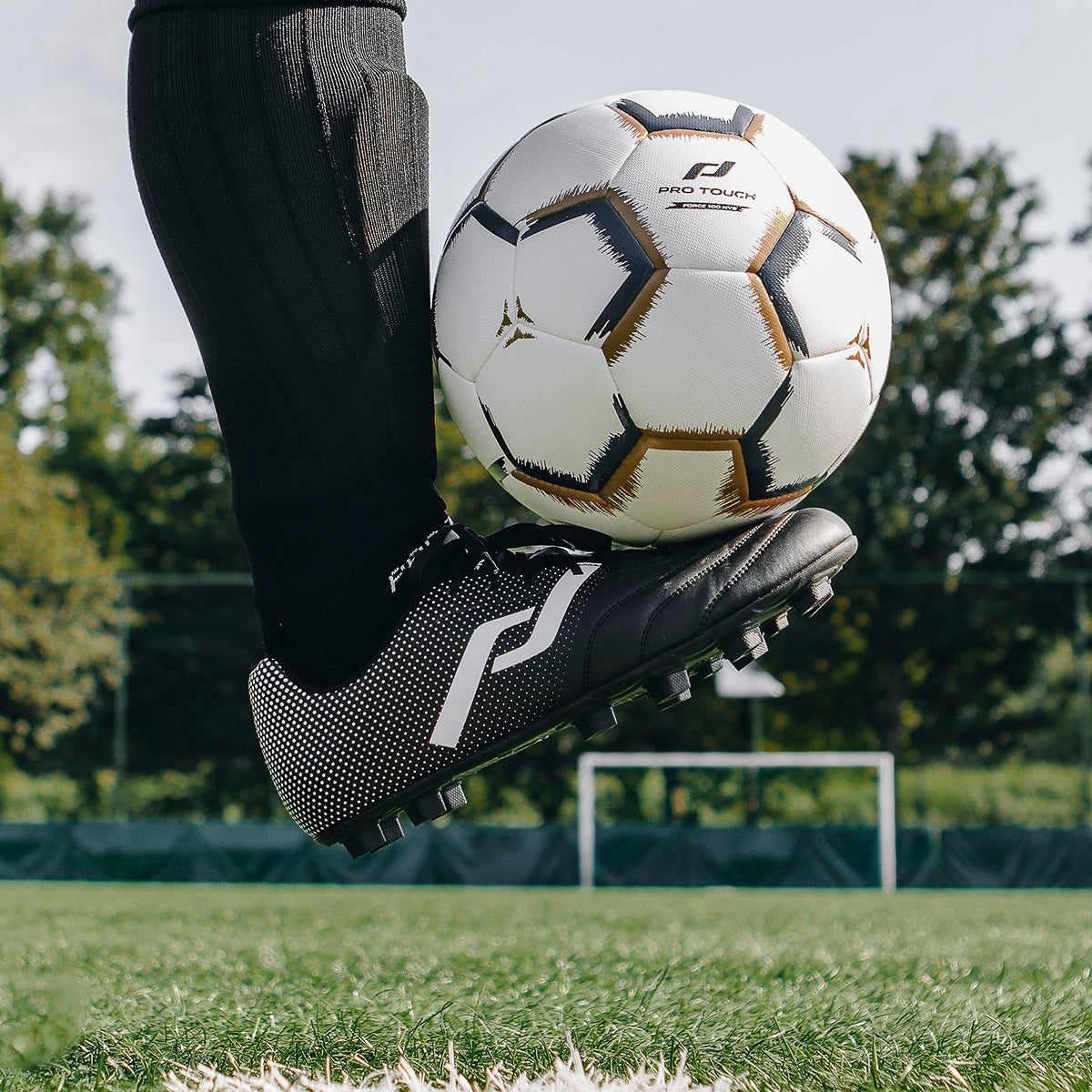 PRO TOUCH | INTERSPORT